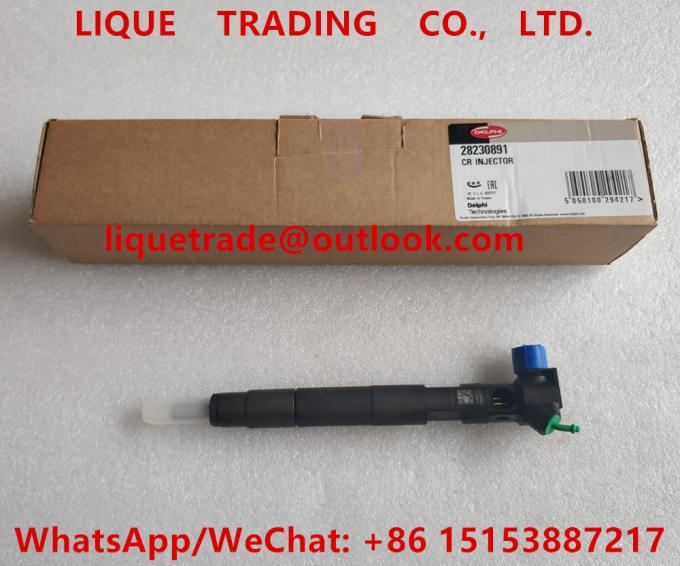 DELPHI Common Rail Injector 28230891 , A6510701387 Fuel Injector 6510701387